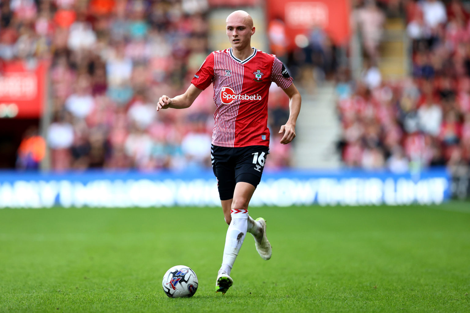 Southampton Squad - Southampton FC News
